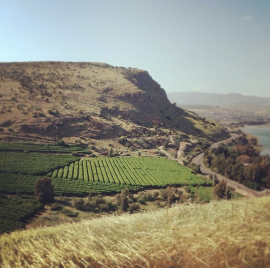 Maya Israel Tours - Explore Israel with love